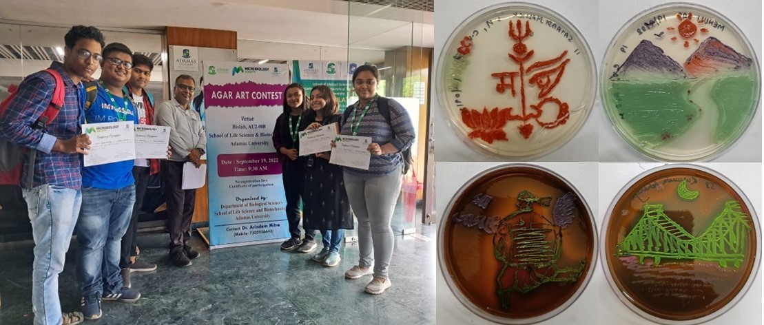 Explore the fascinating world of Microbiology at Adamas University